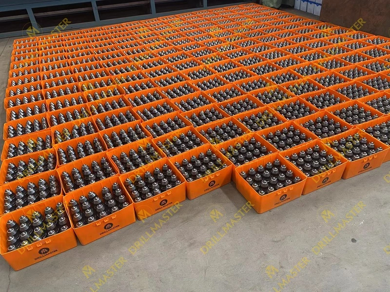 The evolutionary history of drilling teeth - DRILLMASTER Engineering ...